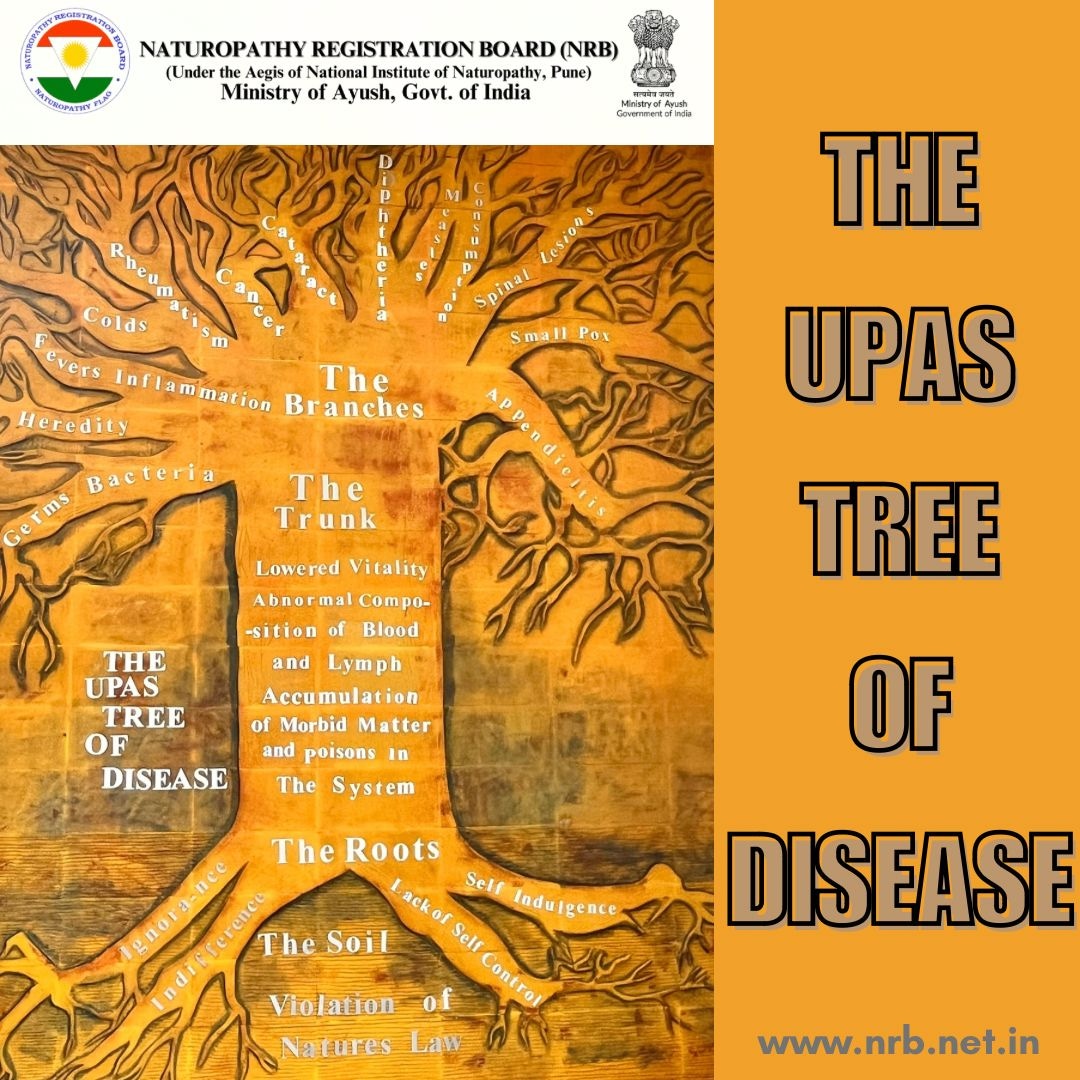 Knowledge-Centre|Naturopathy Registration Board